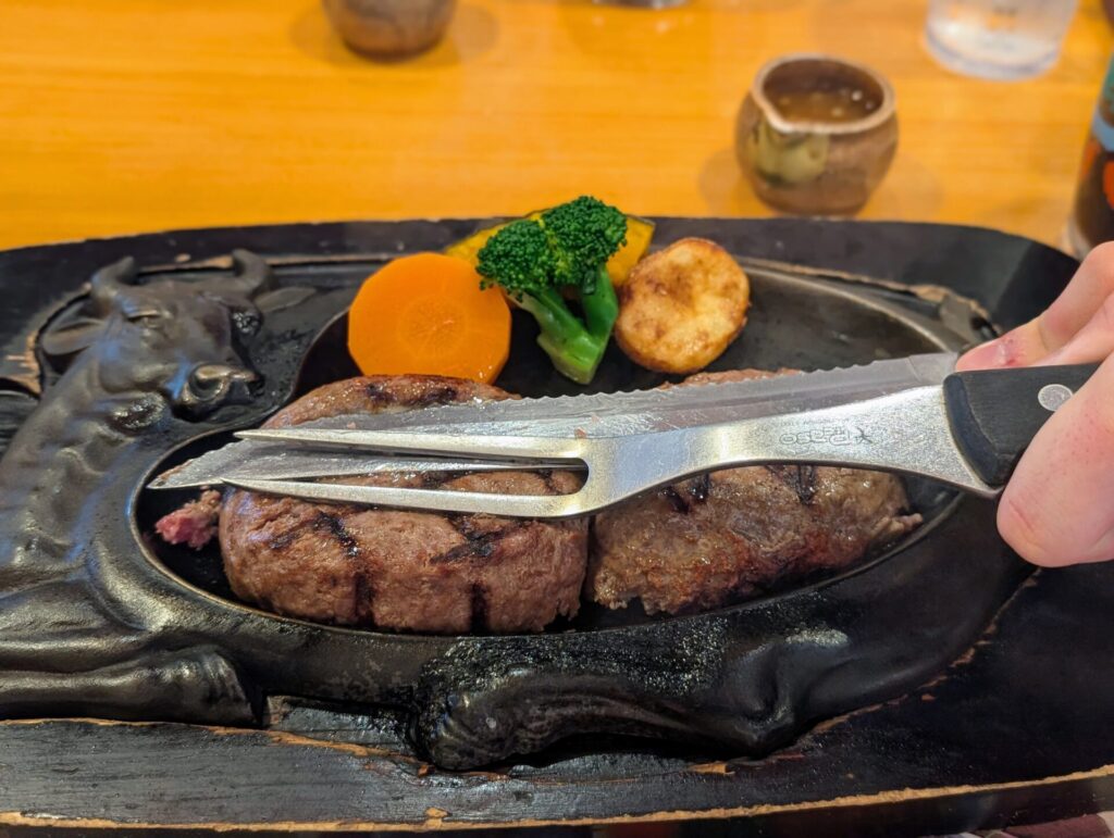 PXL_20251108_015101863.PORTRAIT | FTR223と行く